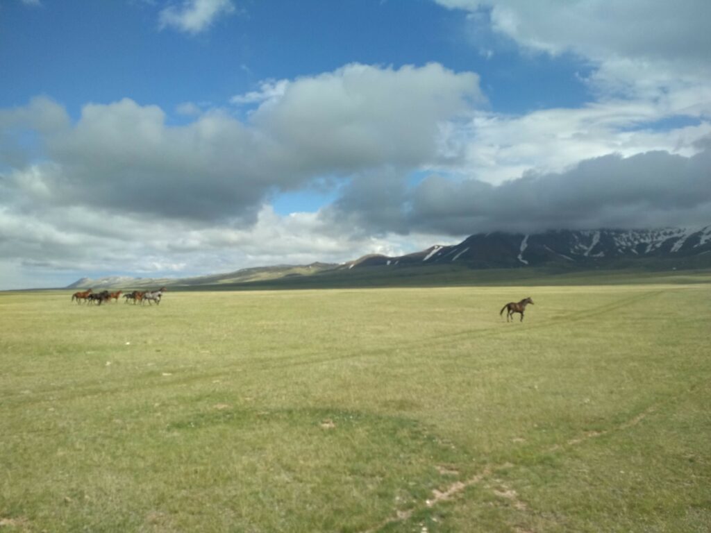 Kyzart pass - Discover Kyrgyzland